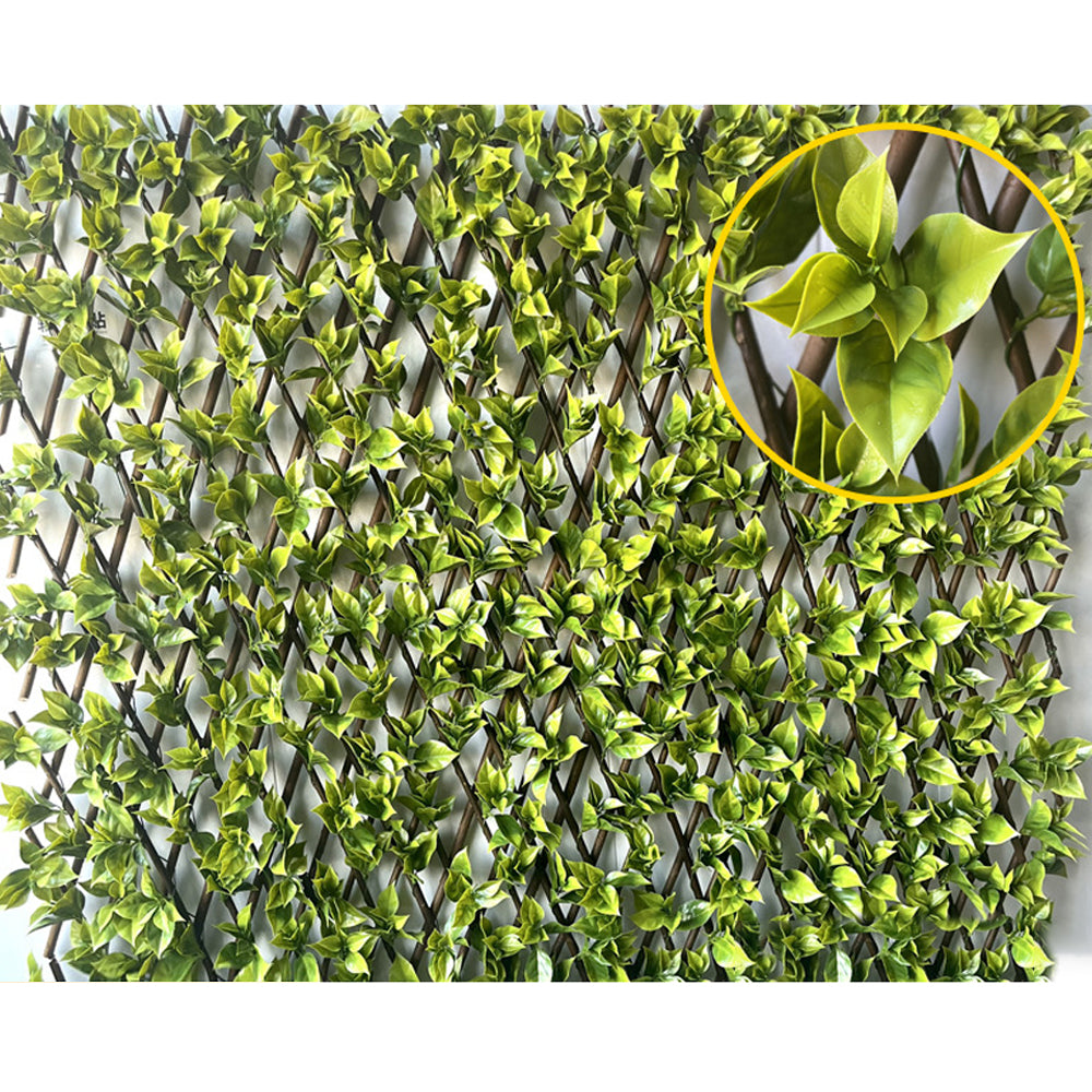 Pothos Artificial Ivy Privacy Fence Wall Screen – Beckymetal.com