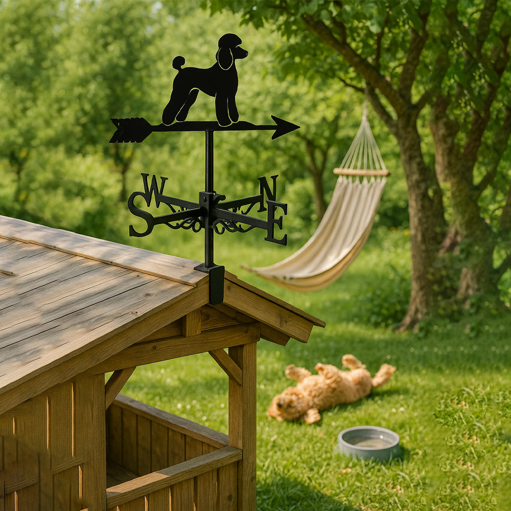 Poodle Stainless Steel Weathervane – Beckymetal.com