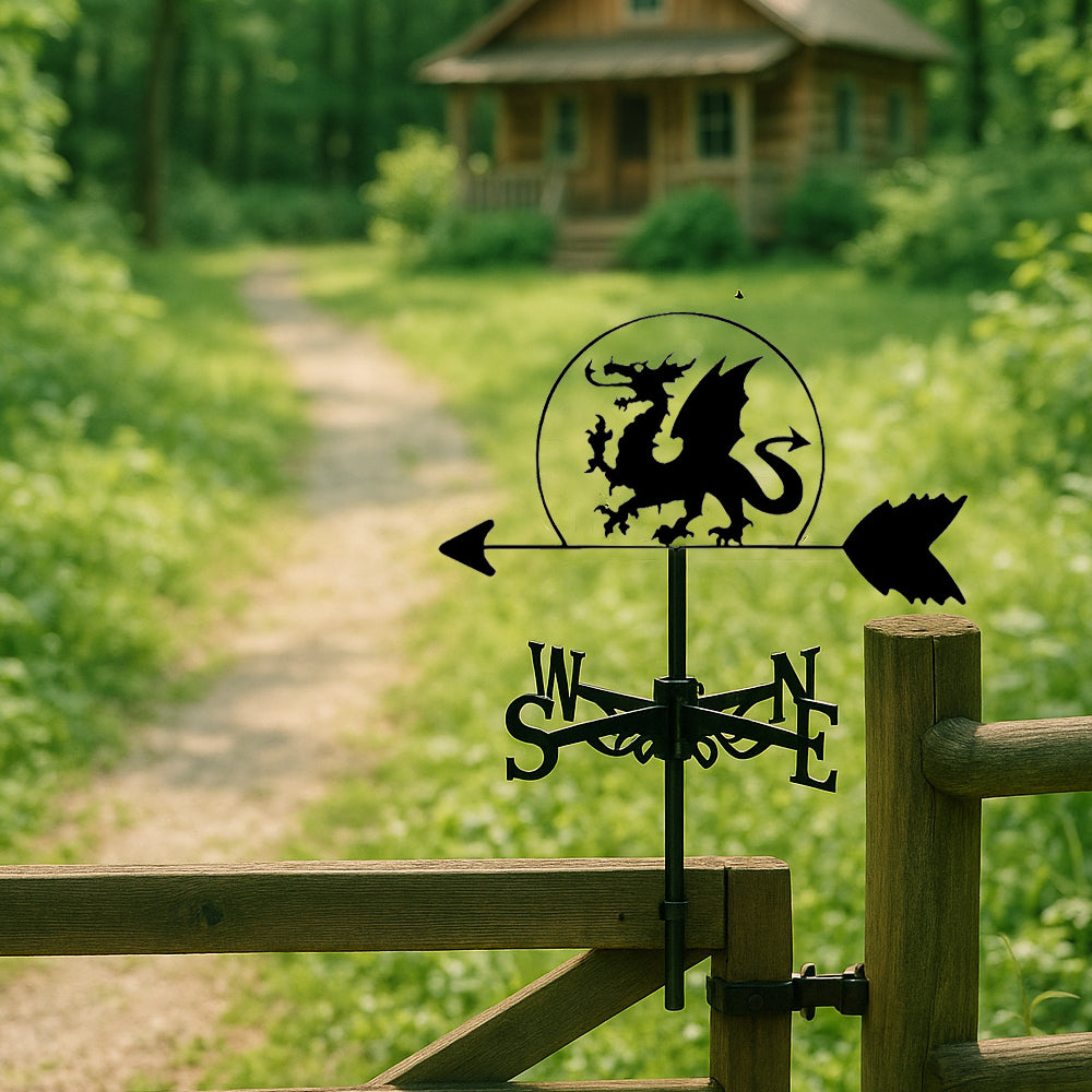 Dragon Stainless Steel Weathervane – Beckymetal.com