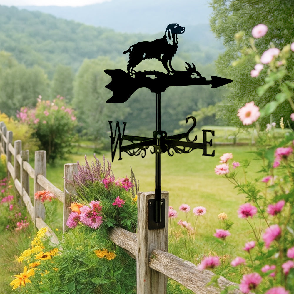 Cocker Spaniel Stainless Steel Weathervane – Beckymetal.com