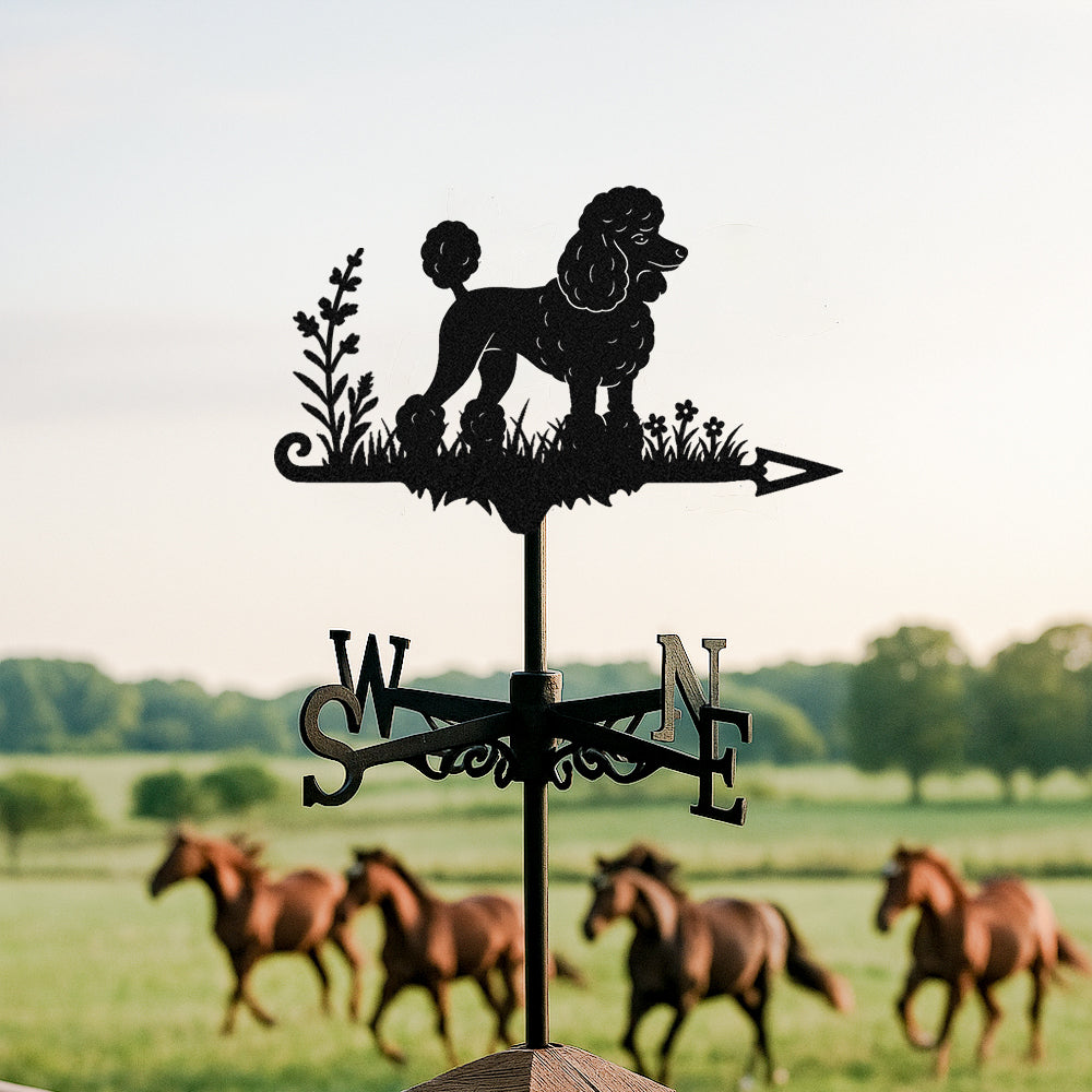 Poodle Stainless Steel Weathervane – Beckymetal.com