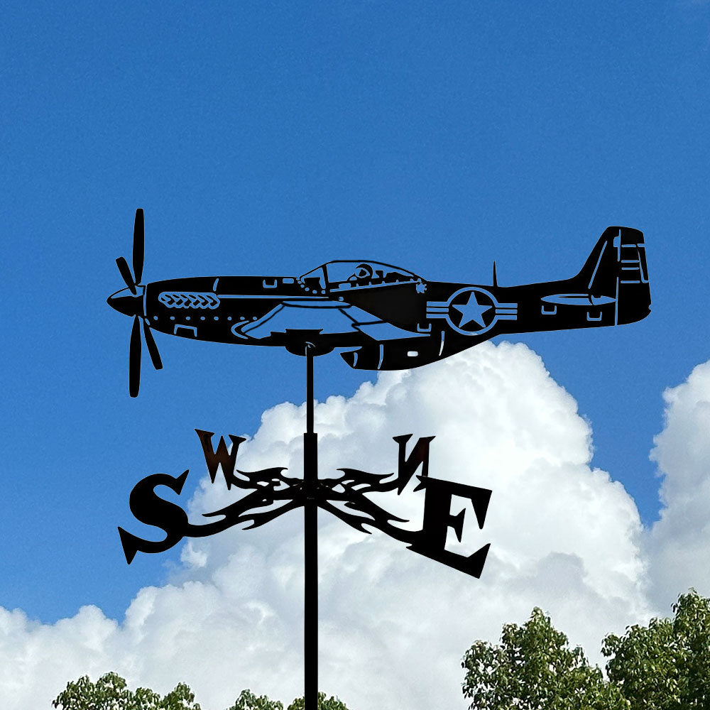 Aircraft Stainless Steel Weathervane – Beckymetal.com