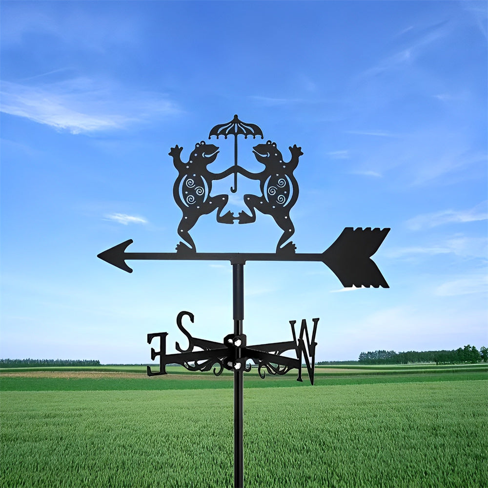 Frog Stainless Steel Weathervane – Beckymetal.com